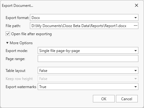 DOCX-Specific Export Options